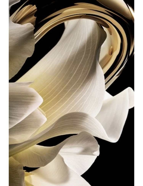 Semerbak Aroma White Floral-Musky dalam Rabanne Million Gold for Her ...